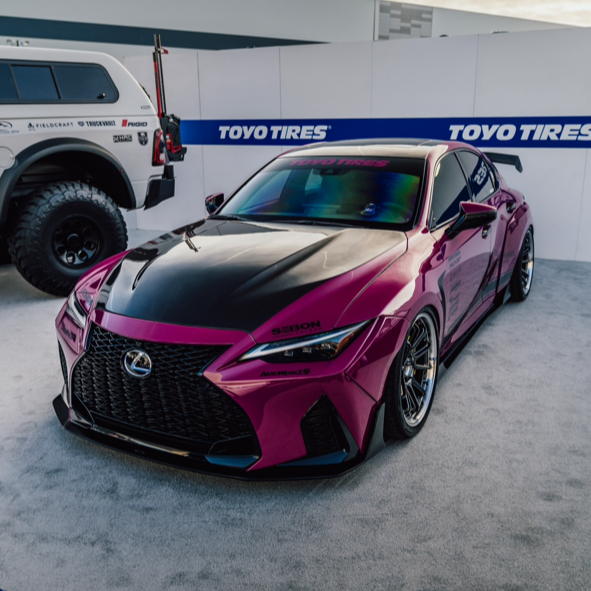 DPPF916 - Gloss Ruby Star – Inozetek USA